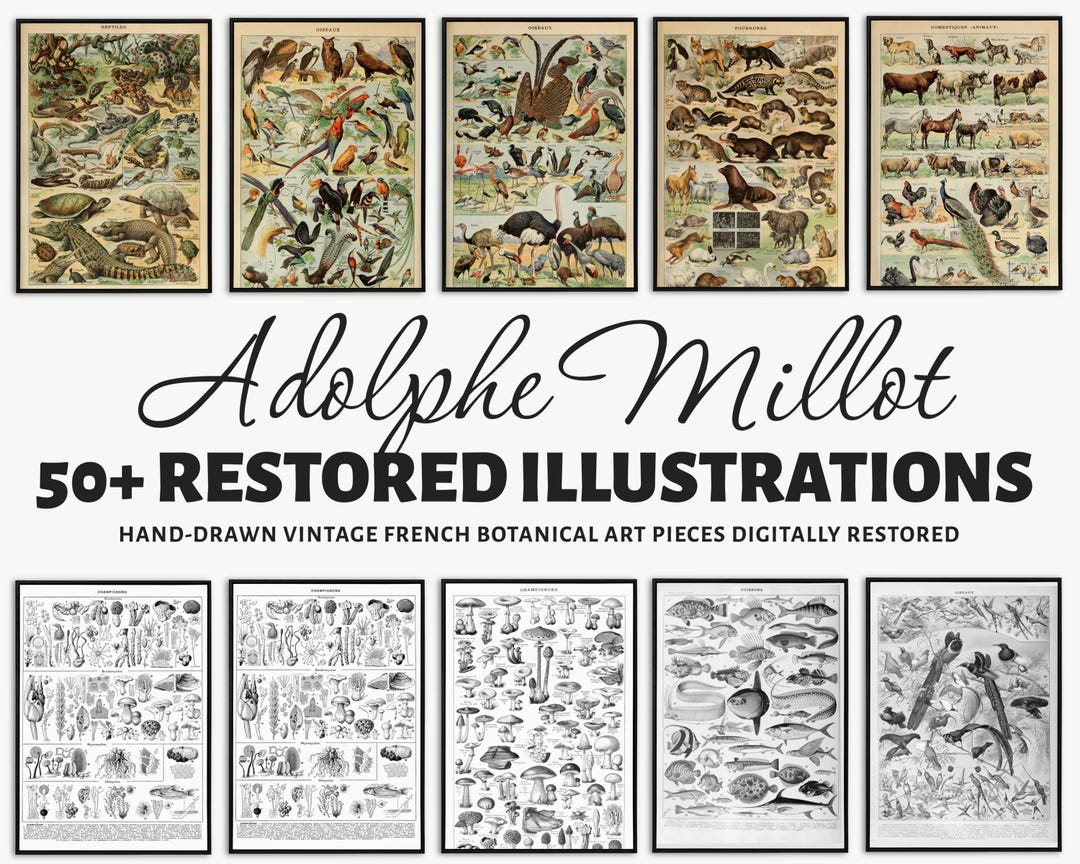 50 Adolphe Millot Illustrations Digital Download MEGA PACK - Vintage ...