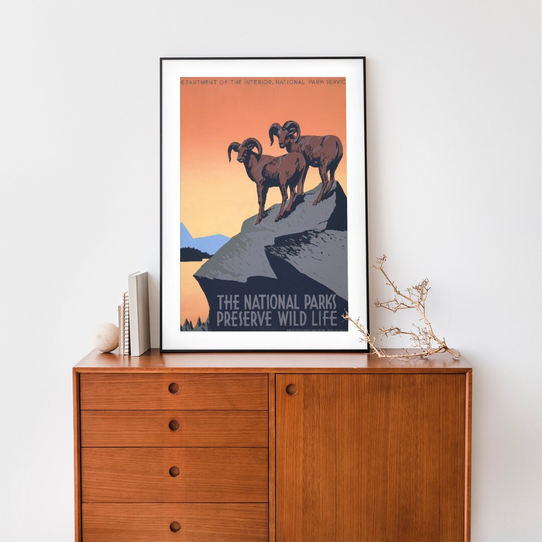 The National Parks Preserve Wildlife Illustration of Rams Standing on a ...