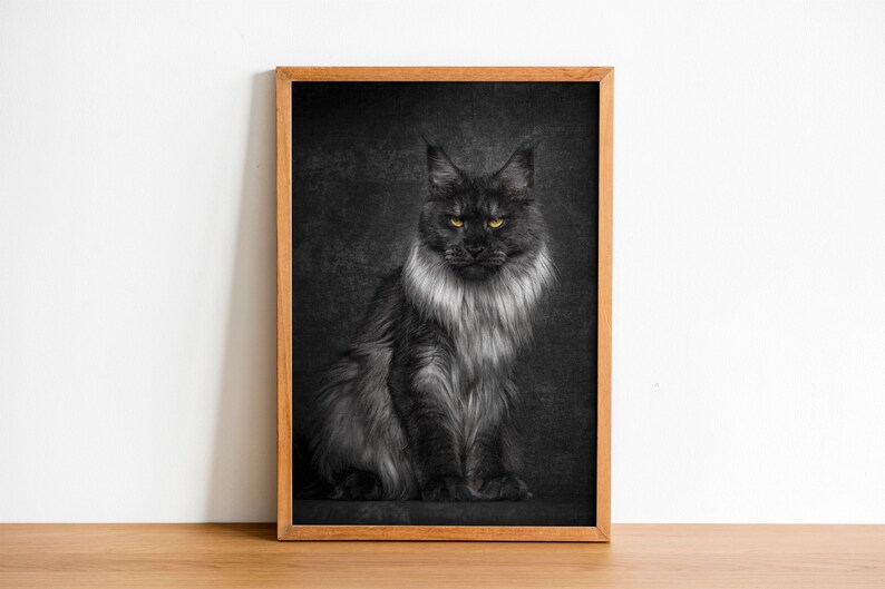 Vintage Cat Art - Tudor Cat Digital Art - Printable Art - 150+ Vintage ...