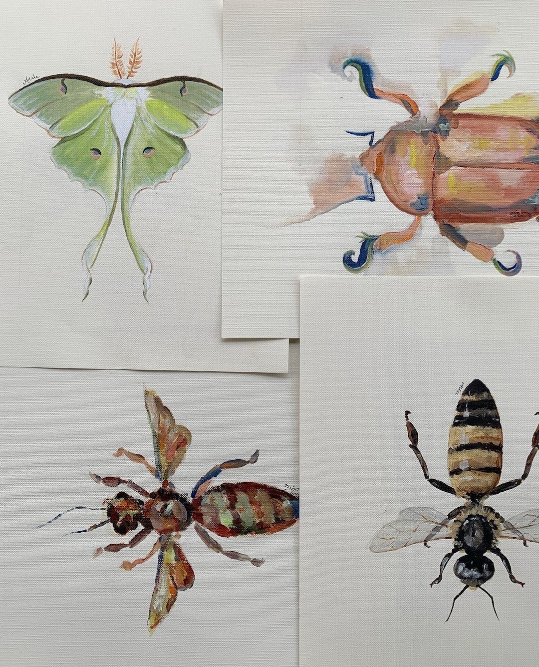 Insect Painting. 9 X 12 Frameable Oil Painting on Canvas Paper - Etsy