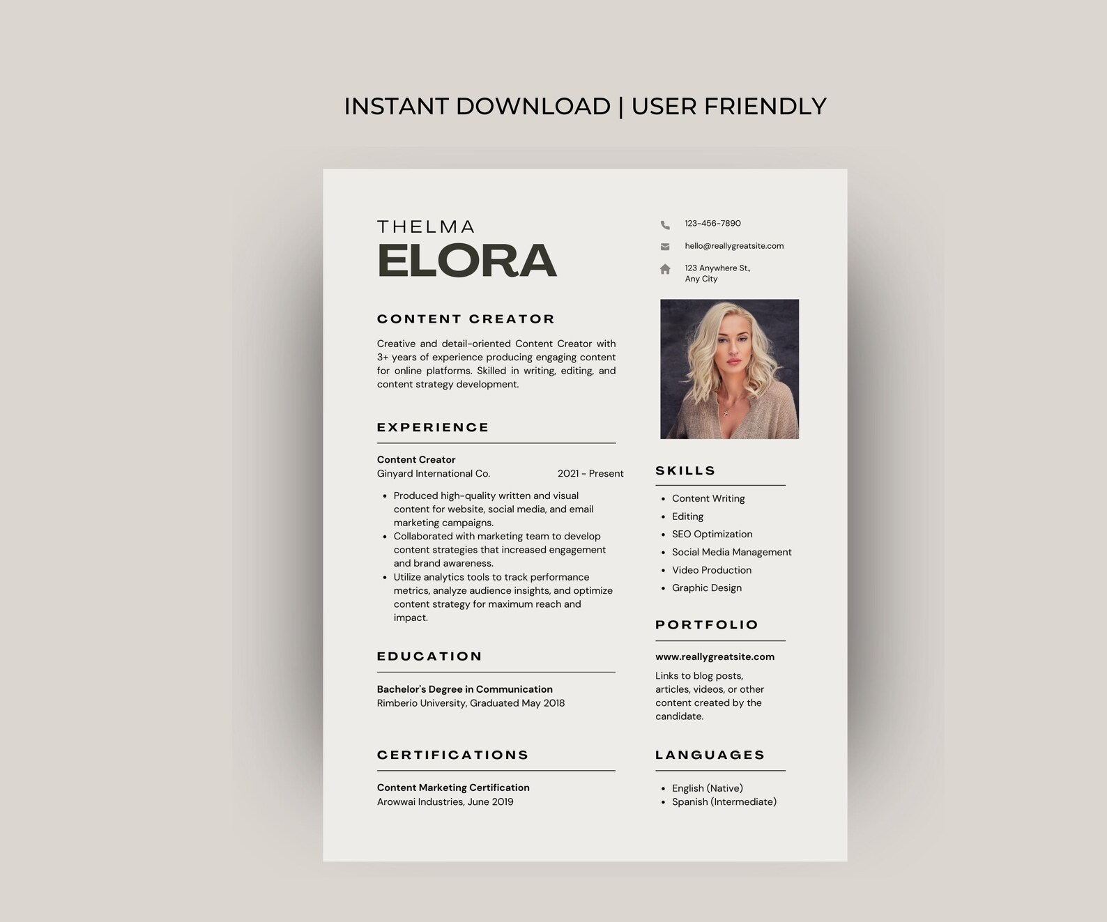 Editable Resume Template: Professional CV Design, Canva (digital ...