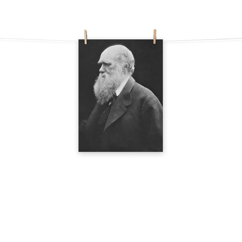 Charles Darwin Matte Poster - Etsy