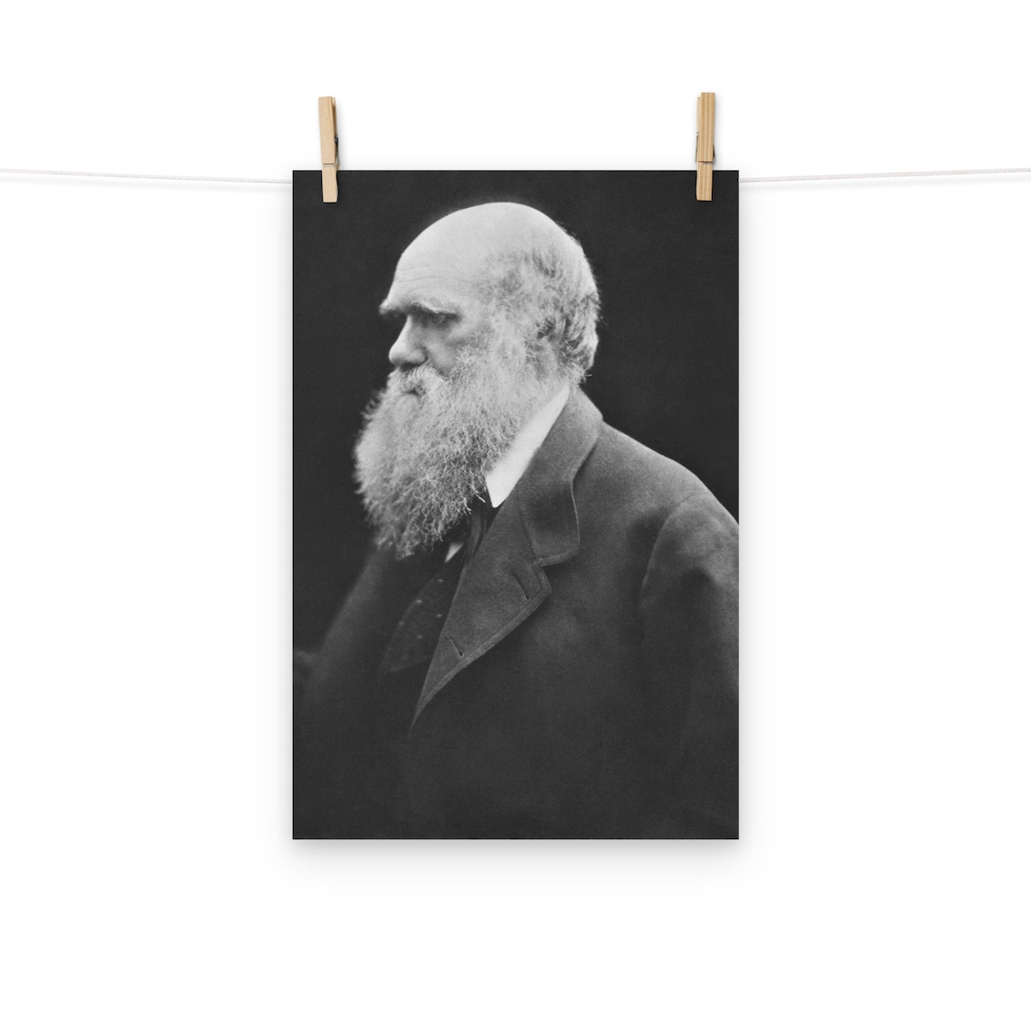 Charles Darwin Matte Poster - Etsy