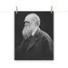 Charles Darwin Matte Poster - Etsy