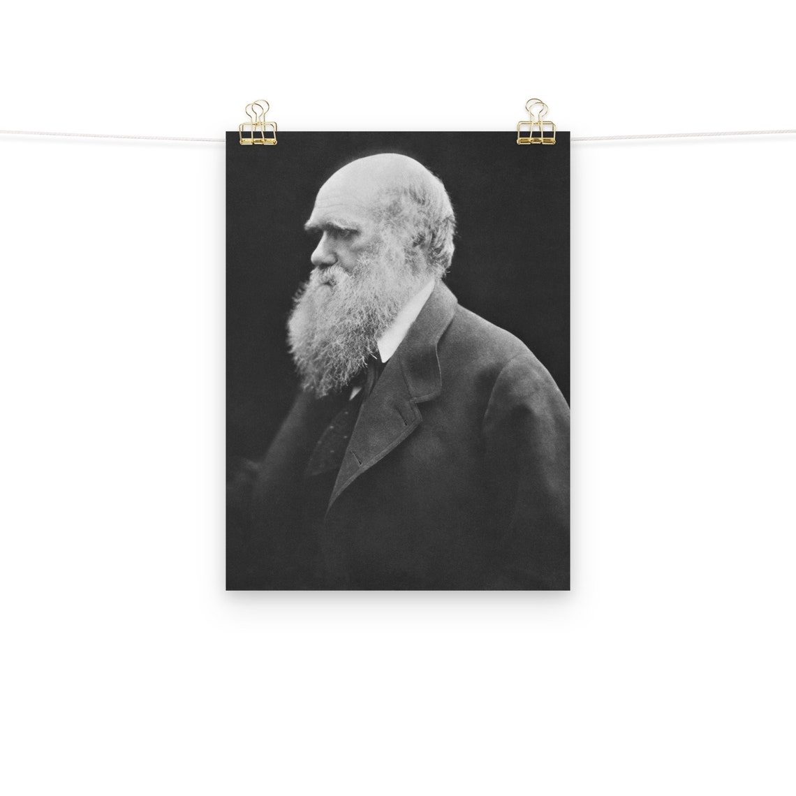 Charles Darwin Matte Poster - Etsy