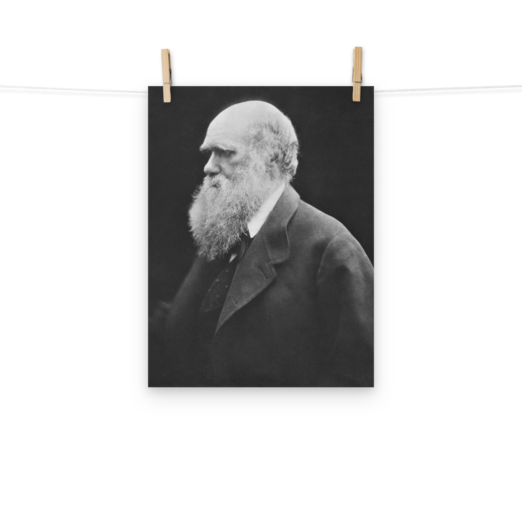 Charles Darwin Matte Poster - Etsy