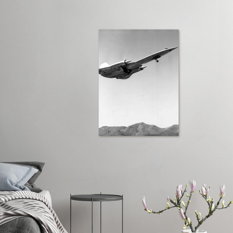 A-12 Schalk Flight, 1962 Matte Poster - Etsy