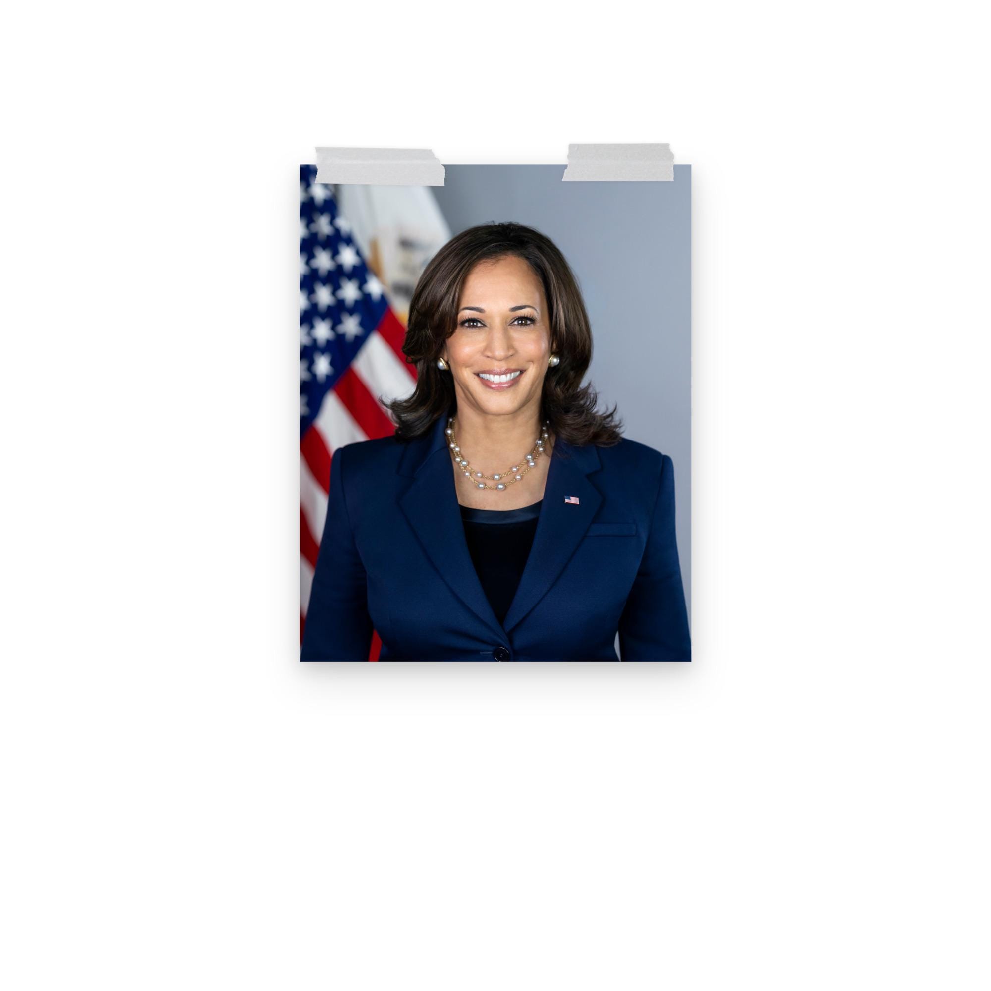 Kamala Harris Official Portrait Matte Poster - Etsy