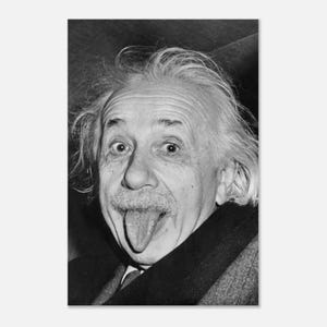 Albert Einstein Sticks His Tongue Matte Poster - Etsy