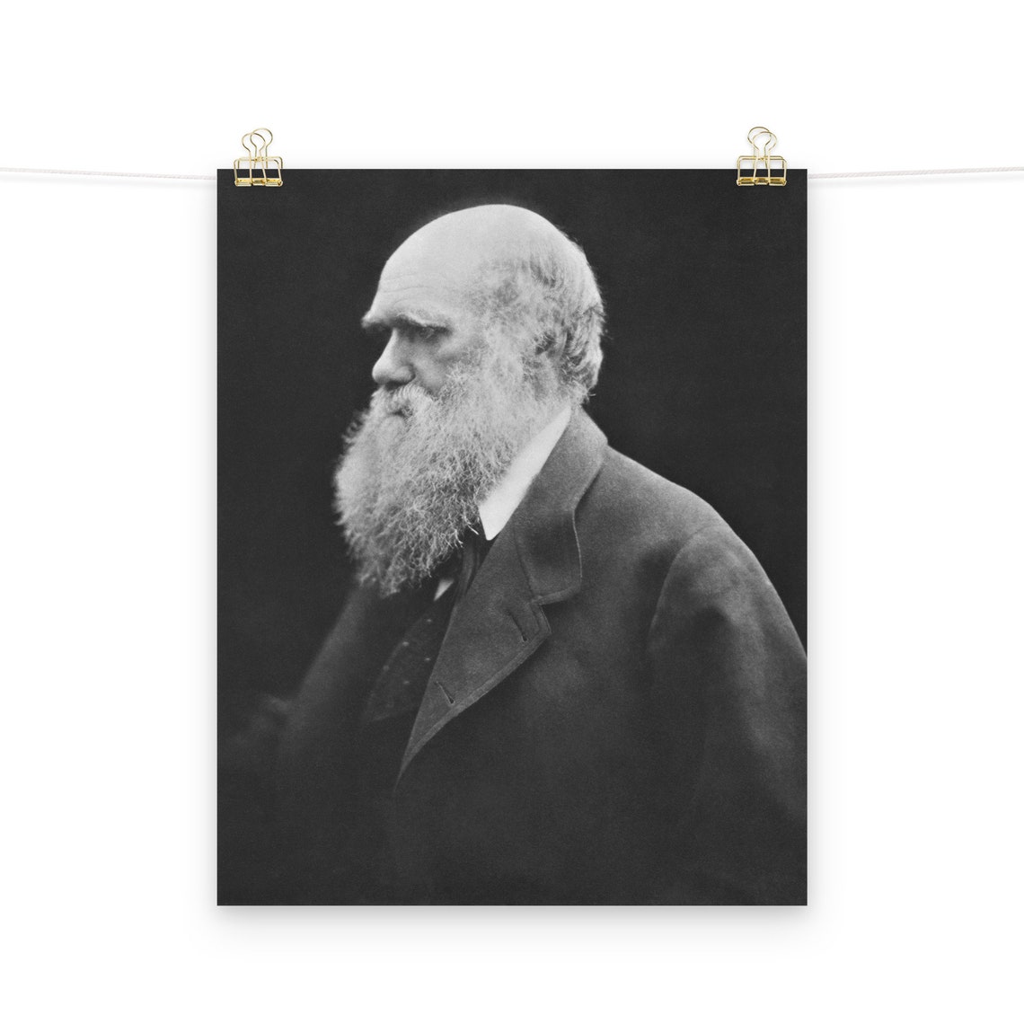 Charles Darwin Matte Poster - Etsy