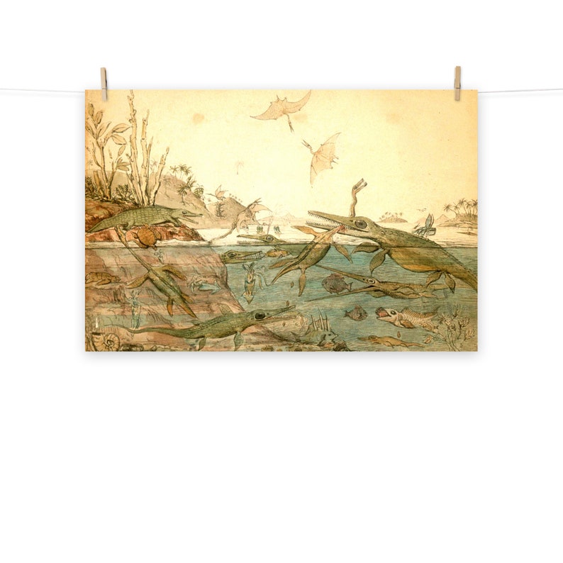 Duria Antiquior (Ancient Dorset) Von Henry De la Beche Matte Poster ...