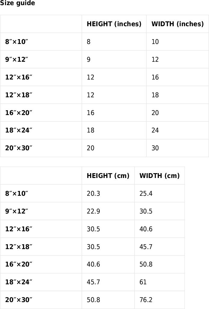 Javier Milei Official Portrait Canvas - Etsy