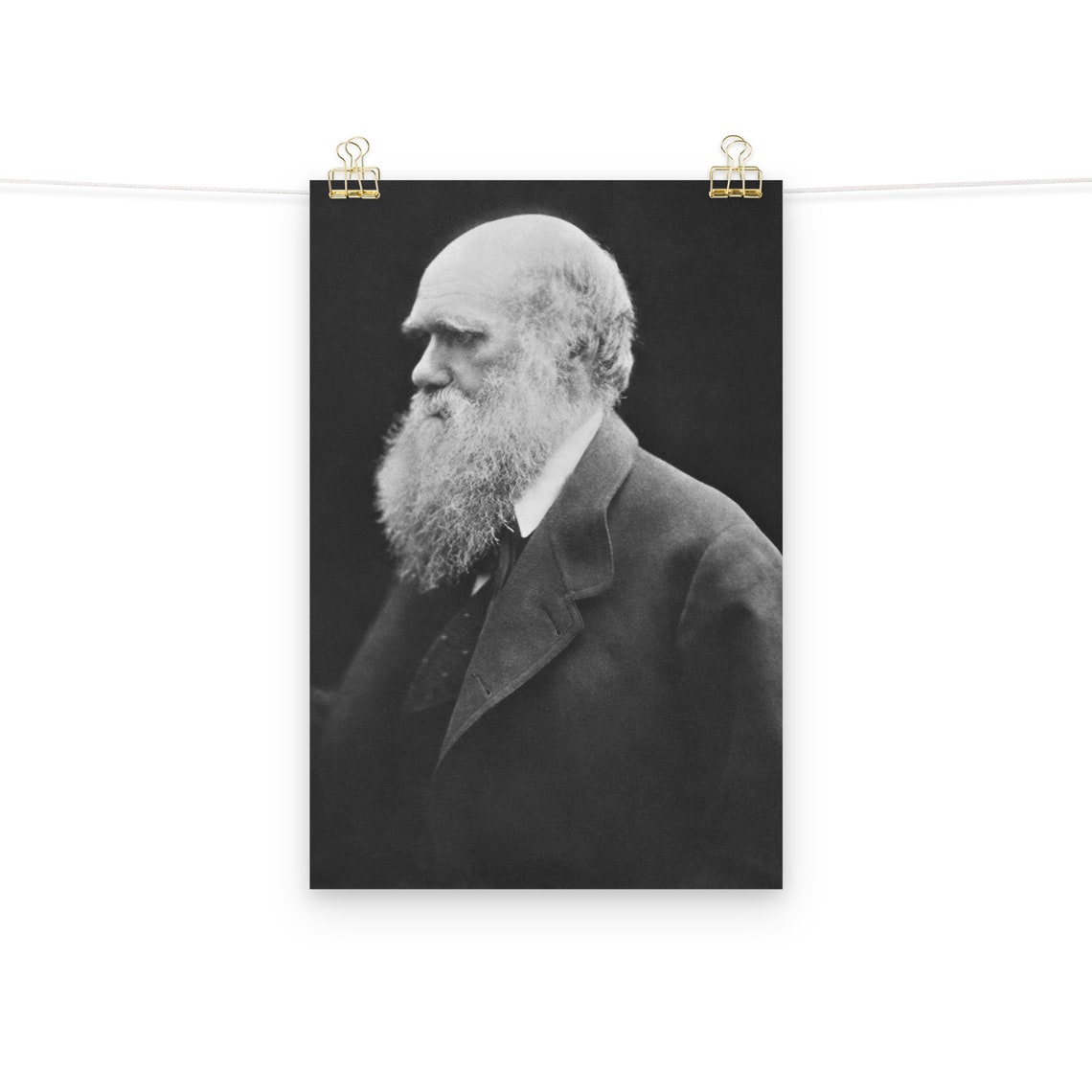 Charles Darwin Matte Poster - Etsy