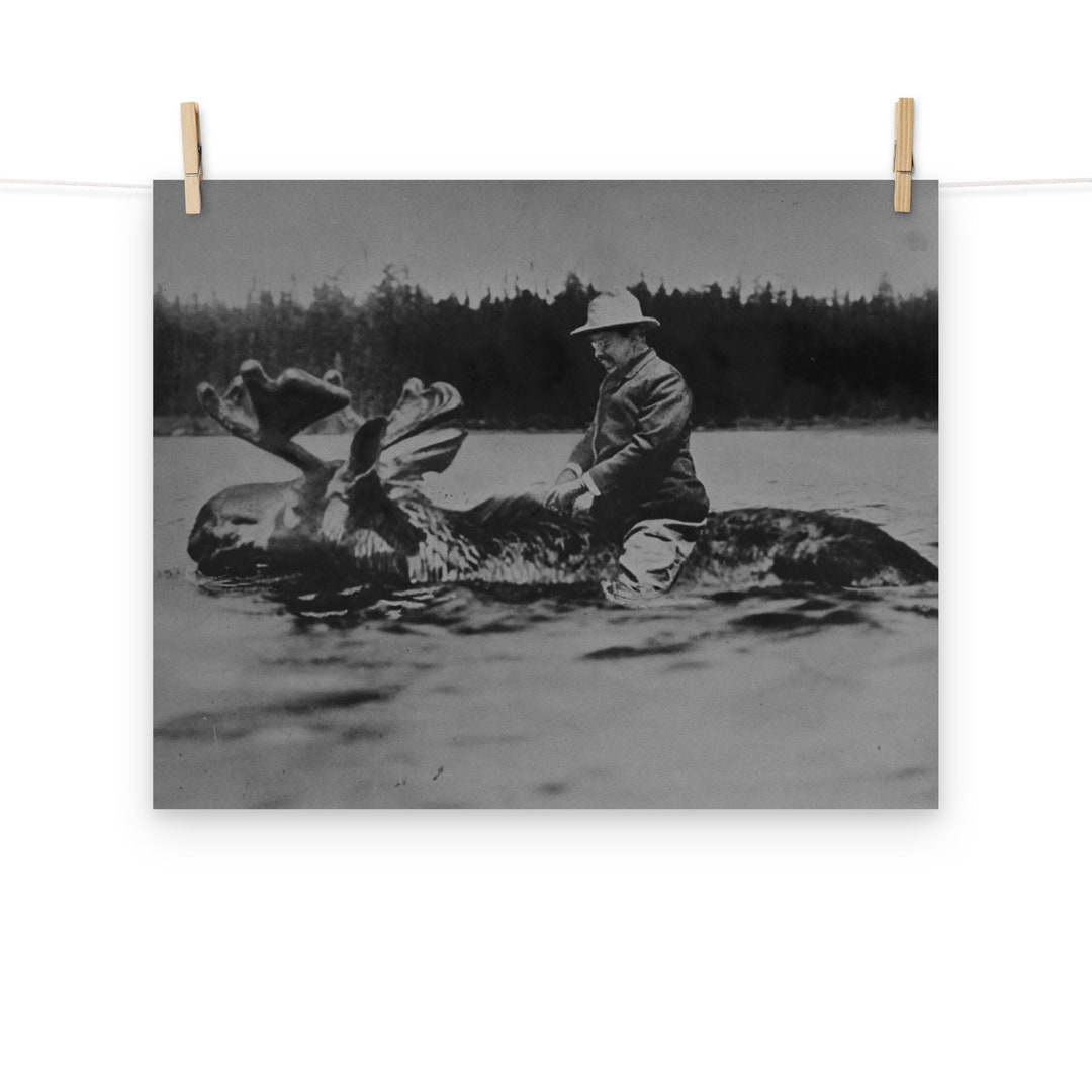 Teddy Roosevelt Riding A Moose Matte Poster - Etsy