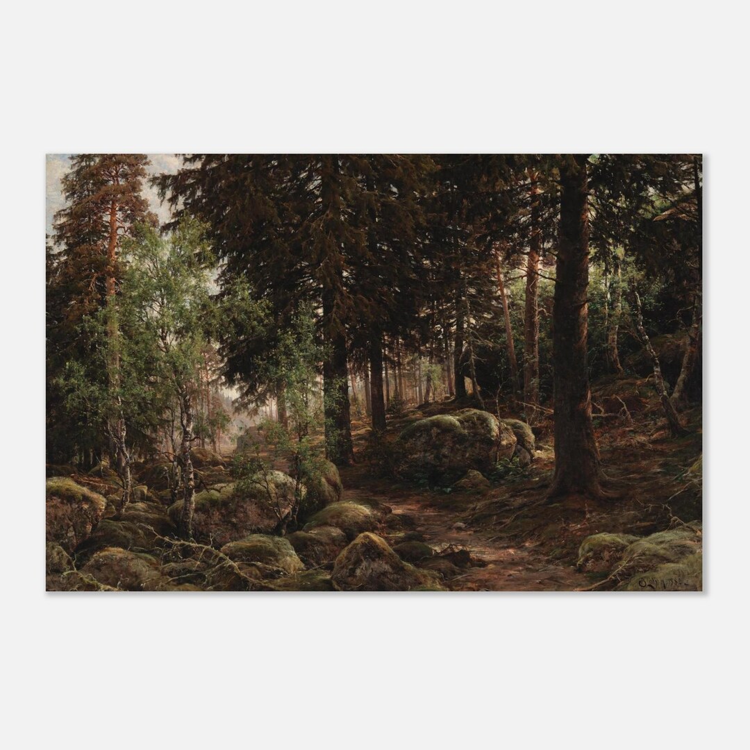 The Depth of a Forest by Bernt Lindholm Matte Poster - Etsy
