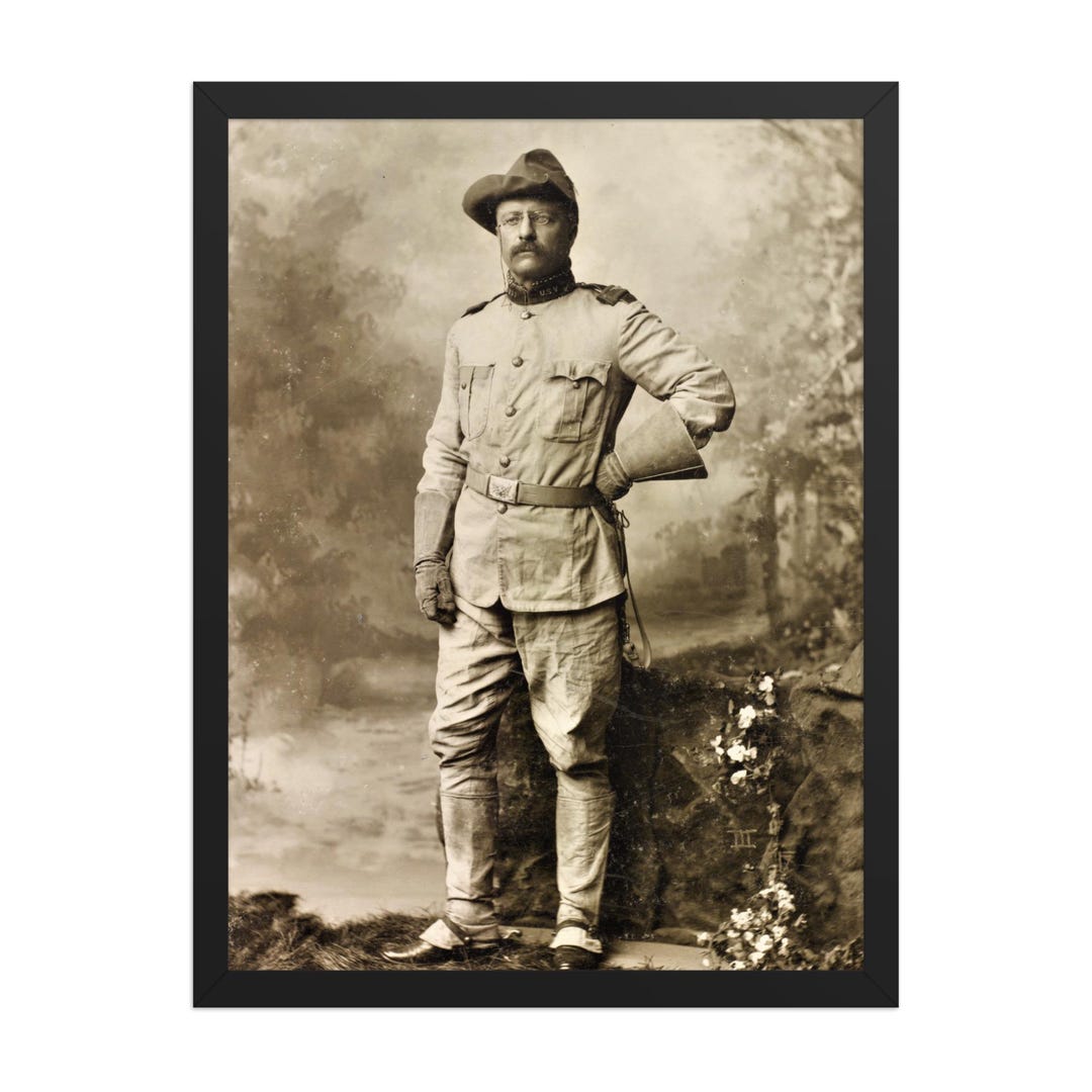 Colonel Theodore Roosevelt Framed Poster - Etsy