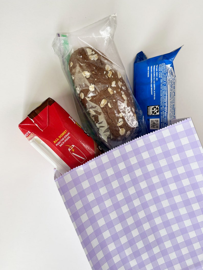 15 Gingham Kraft Paper Party Favor Bags: Holiday Goodie Bags - Etsy