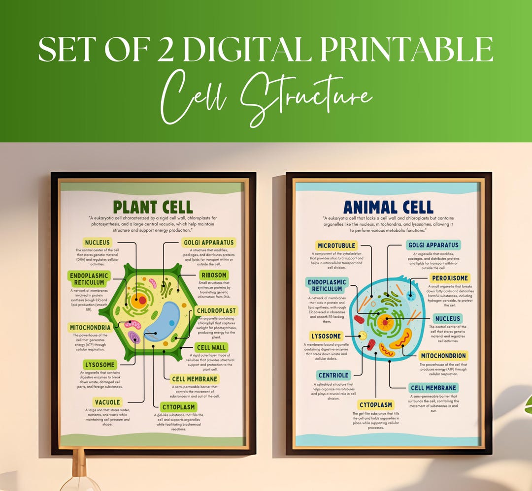 Set of 2 Cell Structure Print - Education Poster for Kids ...