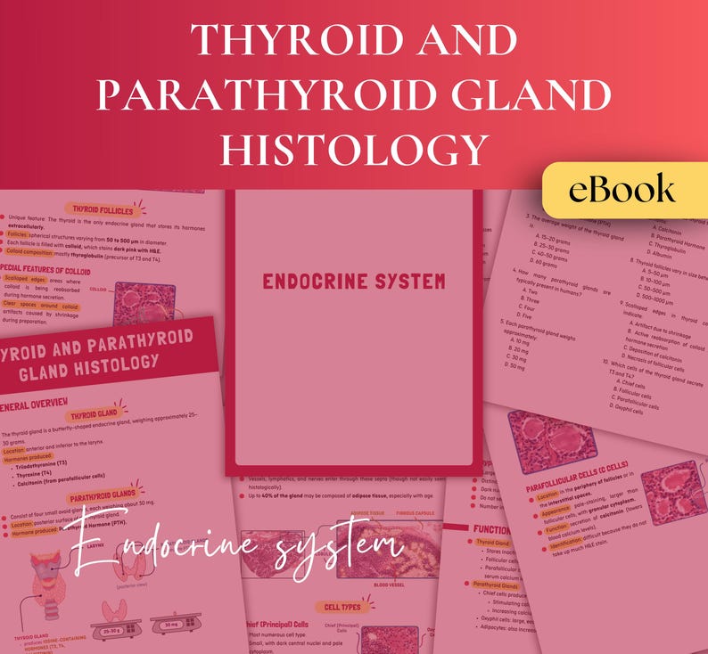 Thyroid and Parathyroid Gland Histology Ebook | 8 Pages | Endocrine ...