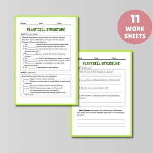 Plant Cell Structure Poster: Biology Classroom Art (digital Download ...