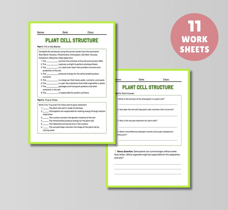 Plant Cell Structure Poster: Biology Classroom Art (digital Download ...