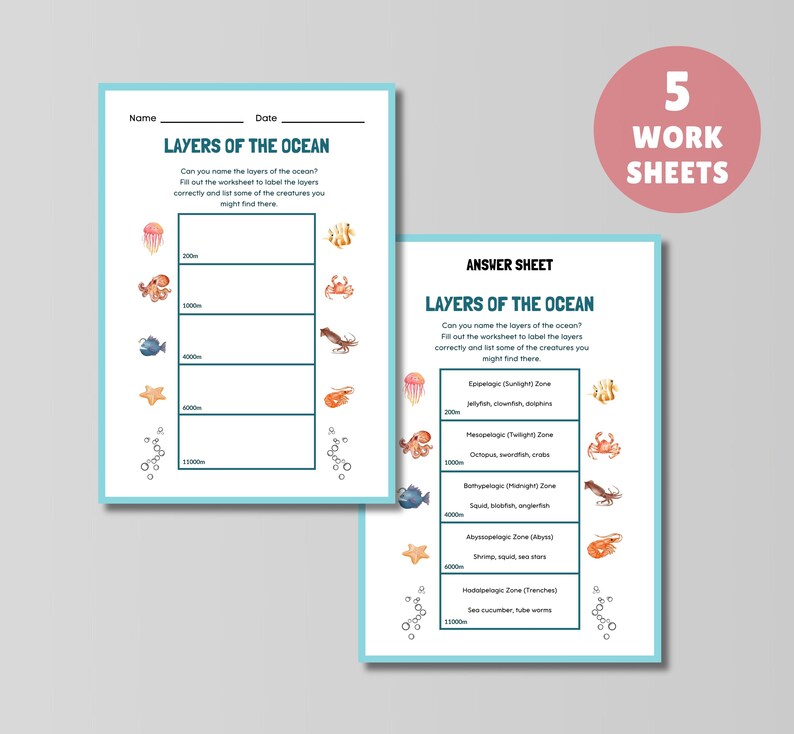 Layers of the Ocean Print - Ocean Flashcard - Worksheet for Kids ...
