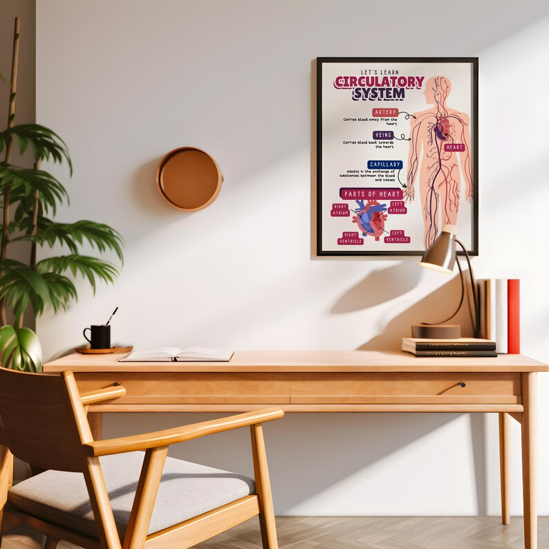 Circulatory System Print - Human Body System Poster - Anatomy Wall Art ...