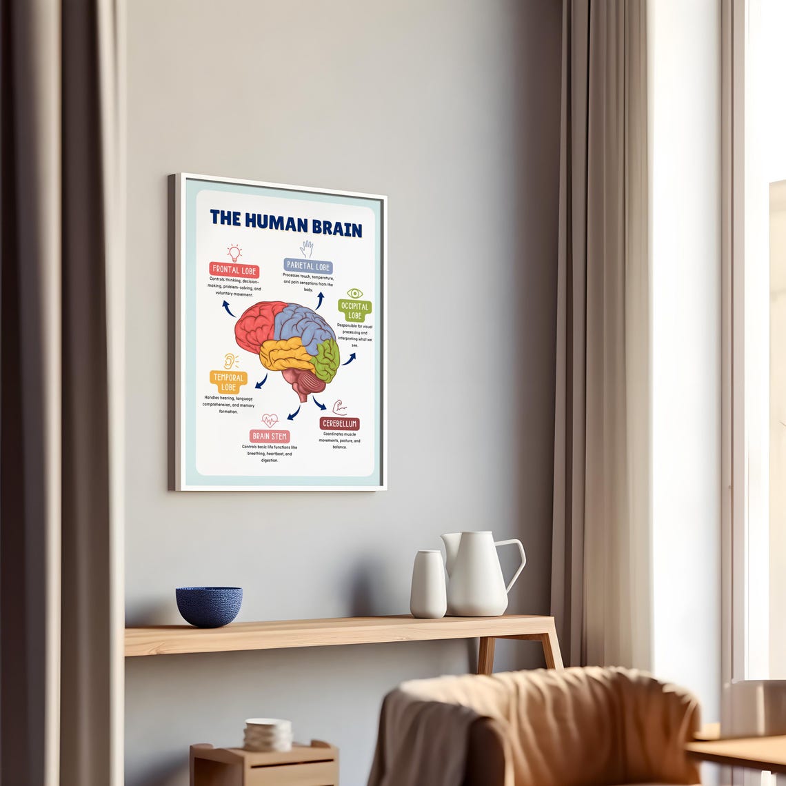 The Human Brain Poster - Anatomy of Brain Print - Modern Educative Wall ...