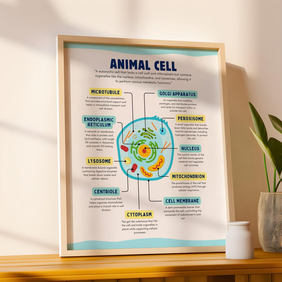 Animal Cell Structure Poster - Biology Educational Print - Science ...