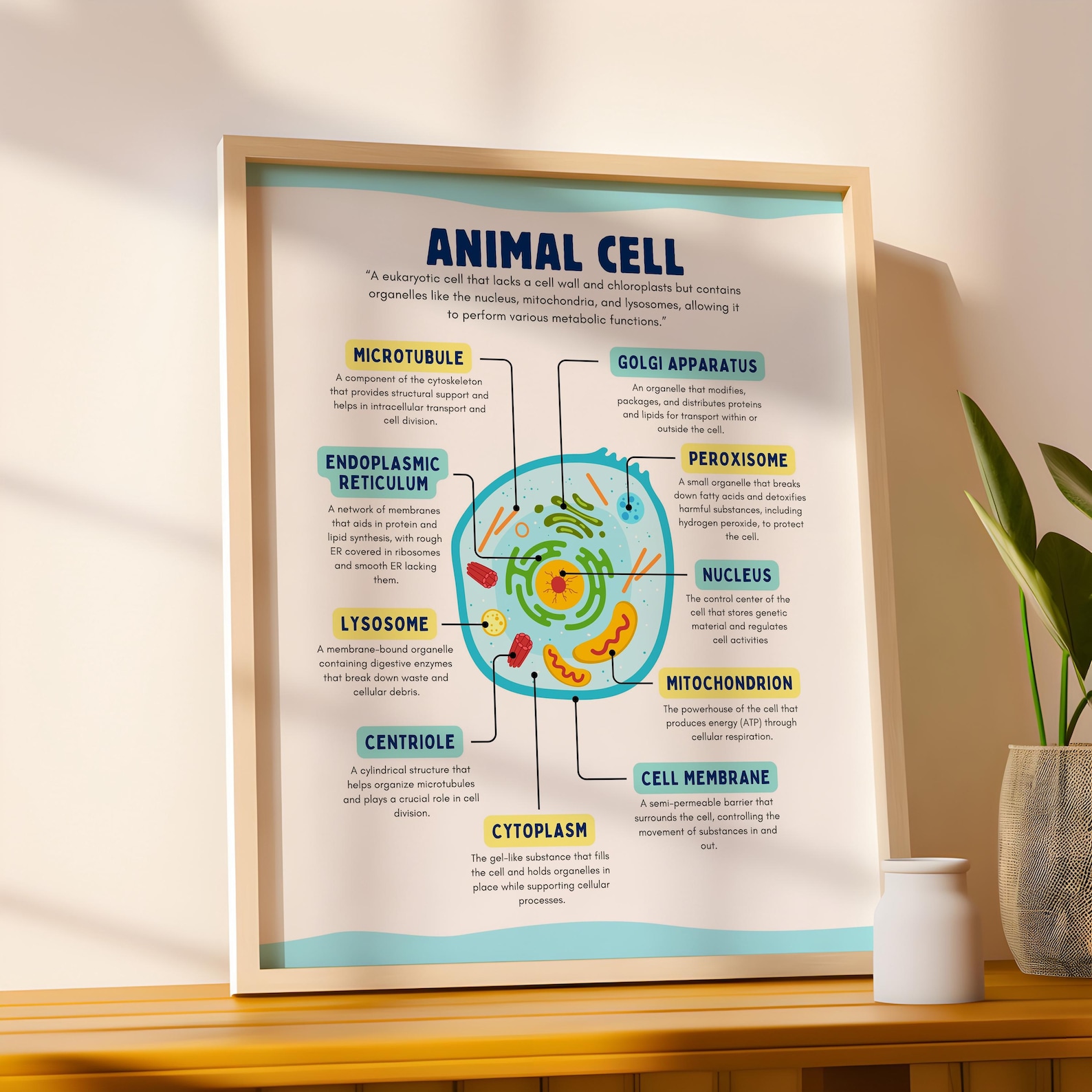 Animal Cell Structure Poster: Biology Classroom Decor (digital Download ...