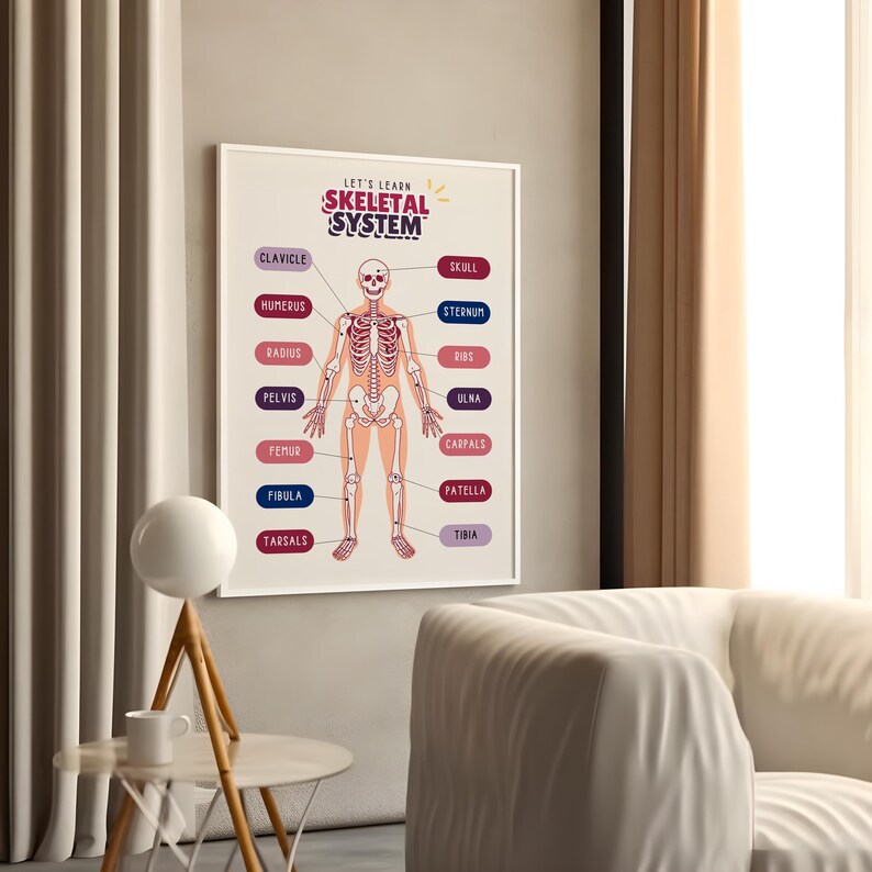 Human Skeletal System, Educational Poster for Kids, Health Education ...