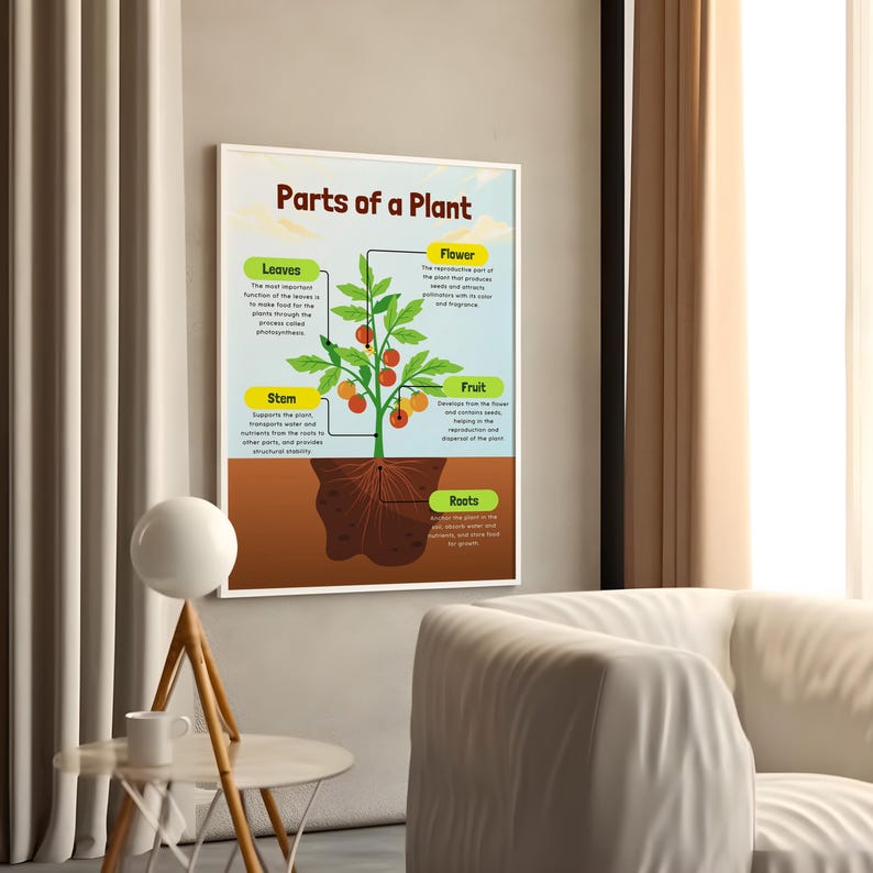 Parts of a Plant Poster - Plant Structure - Plant Art - Biology ...