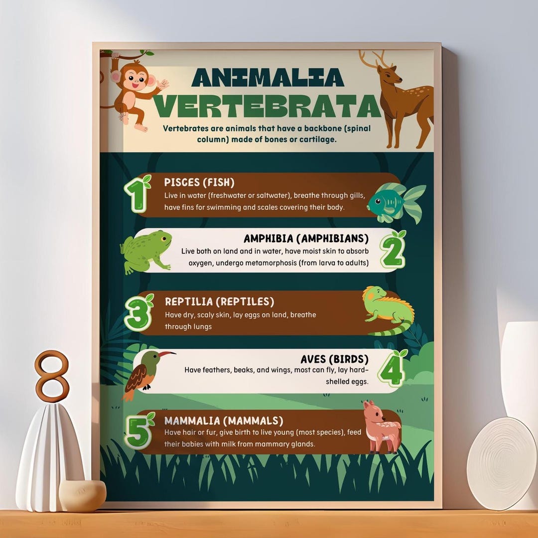 Vertebrate Animals Poster – Science Classroom Decor (digital Download ...