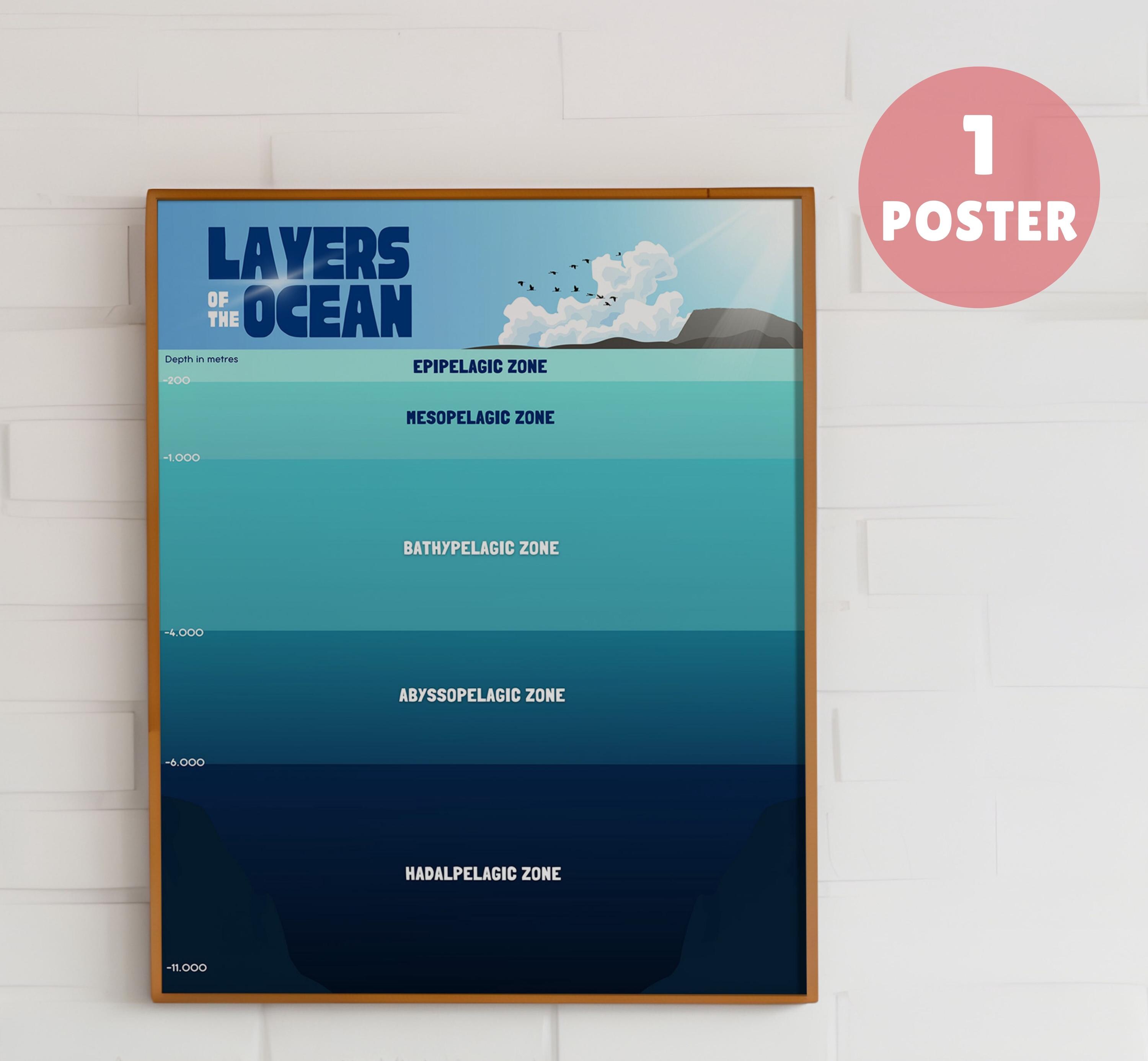 Layers of the Ocean Print - Ocean Flashcard - Worksheet for Kids ...