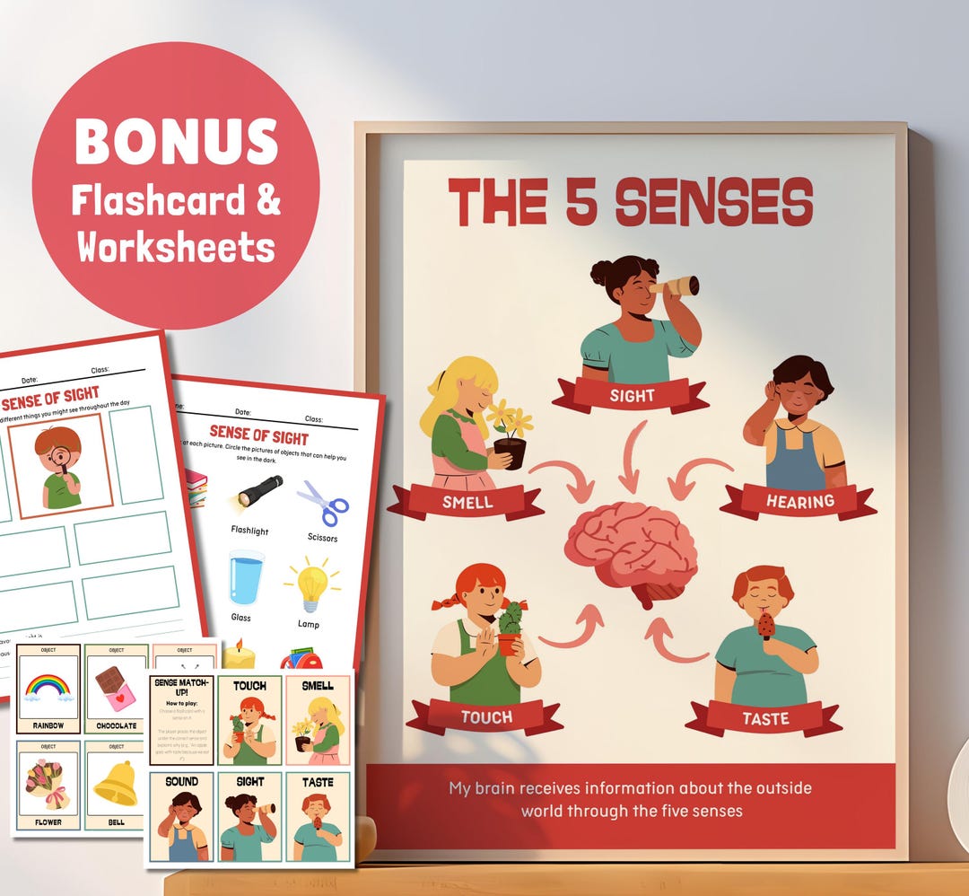 The 5 Senses Print - Worksheet for Kids, 5 Senses Flashcards, Toddlers ...