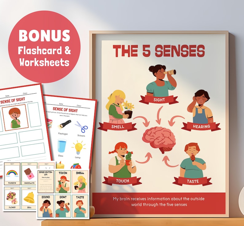 The 5 Senses Print - Worksheet for Kids, 5 Senses Flashcards, Toddlers ...