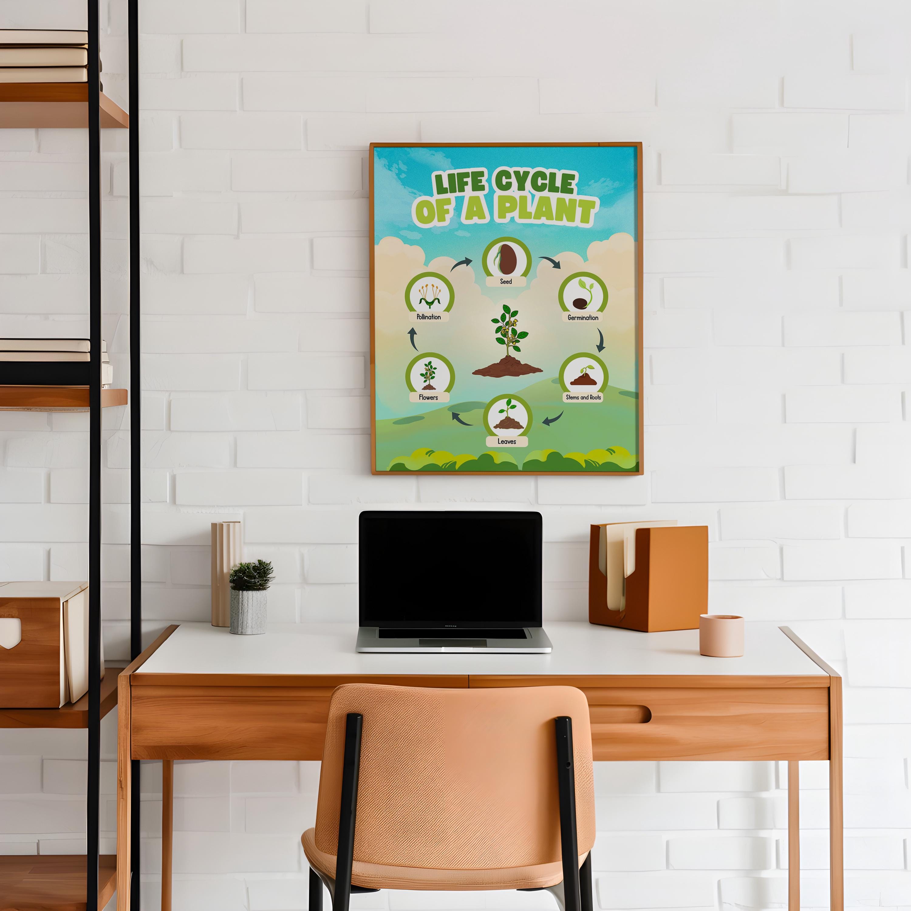 Life Cycle of a Plant Poster | Seed Germination, Growth, Flowering ...