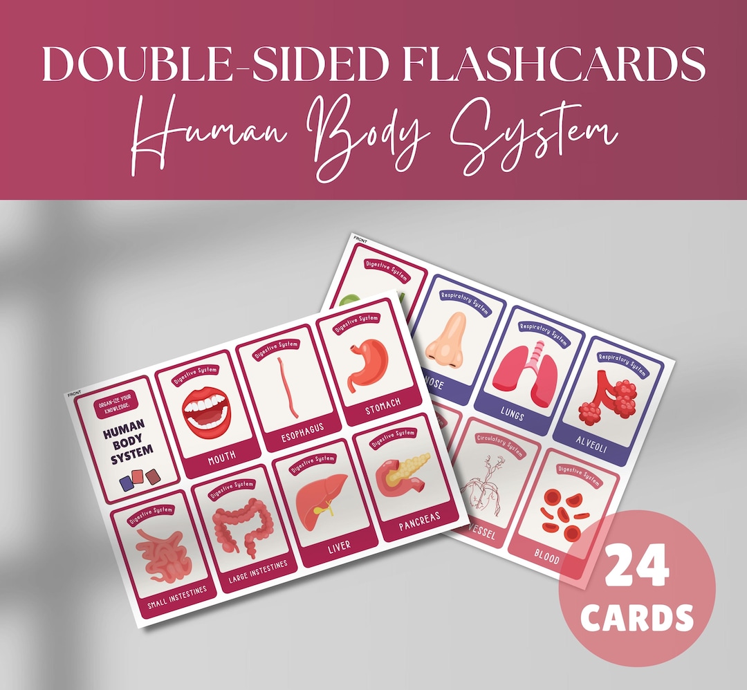 Human Body System Flashcards - Double Sided Flashcards - Science ...