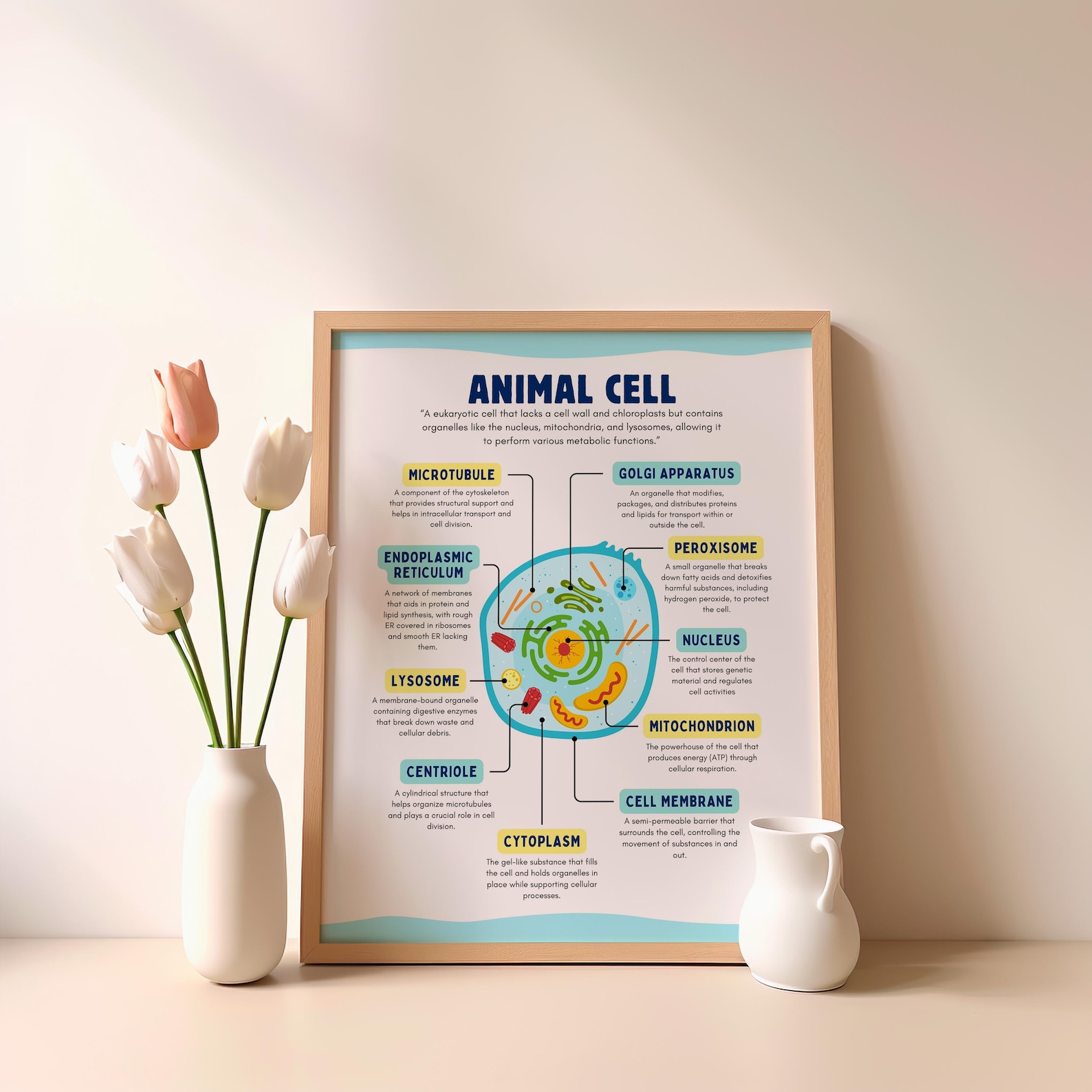 Animal Cell Structure Poster: Biology Classroom Decor (digital Download ...