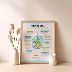 Animal Cell Structure Poster: Biology Classroom Decor (digital Download ...