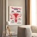 Female Reproductive System Poster: Anatomy Wall Art, Classroom Learning ...
