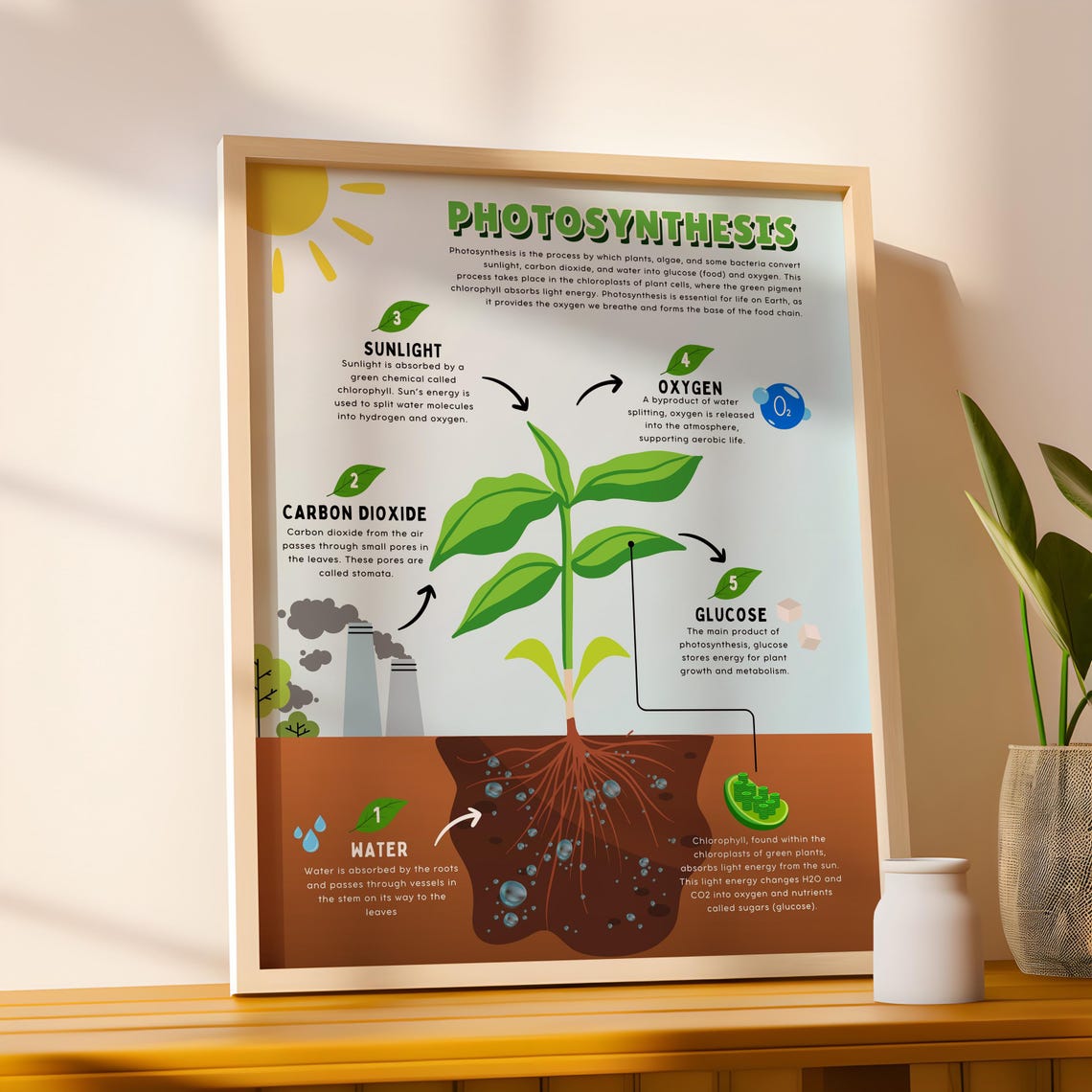 Photosynthesis Poster - Biology Educational Print - Photosynthesis ...