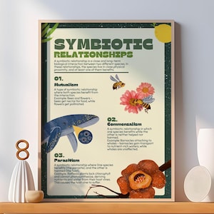 Symbiotic Relationships Poster: Modern Science Classroom Decor (digital ...