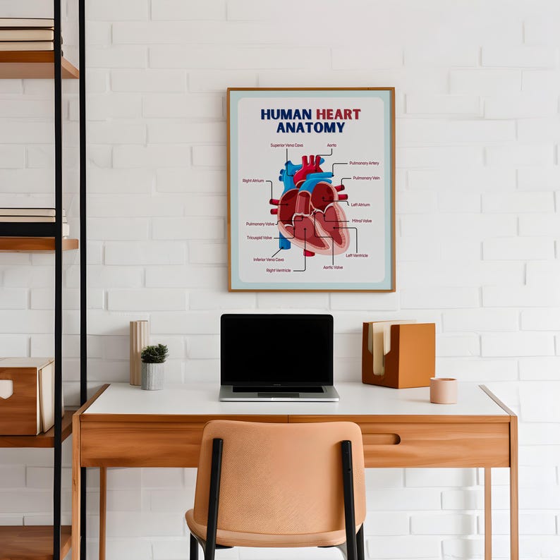 Heart Anatomy Print: Human Body Poster, Classroom Wall Art (digital ...