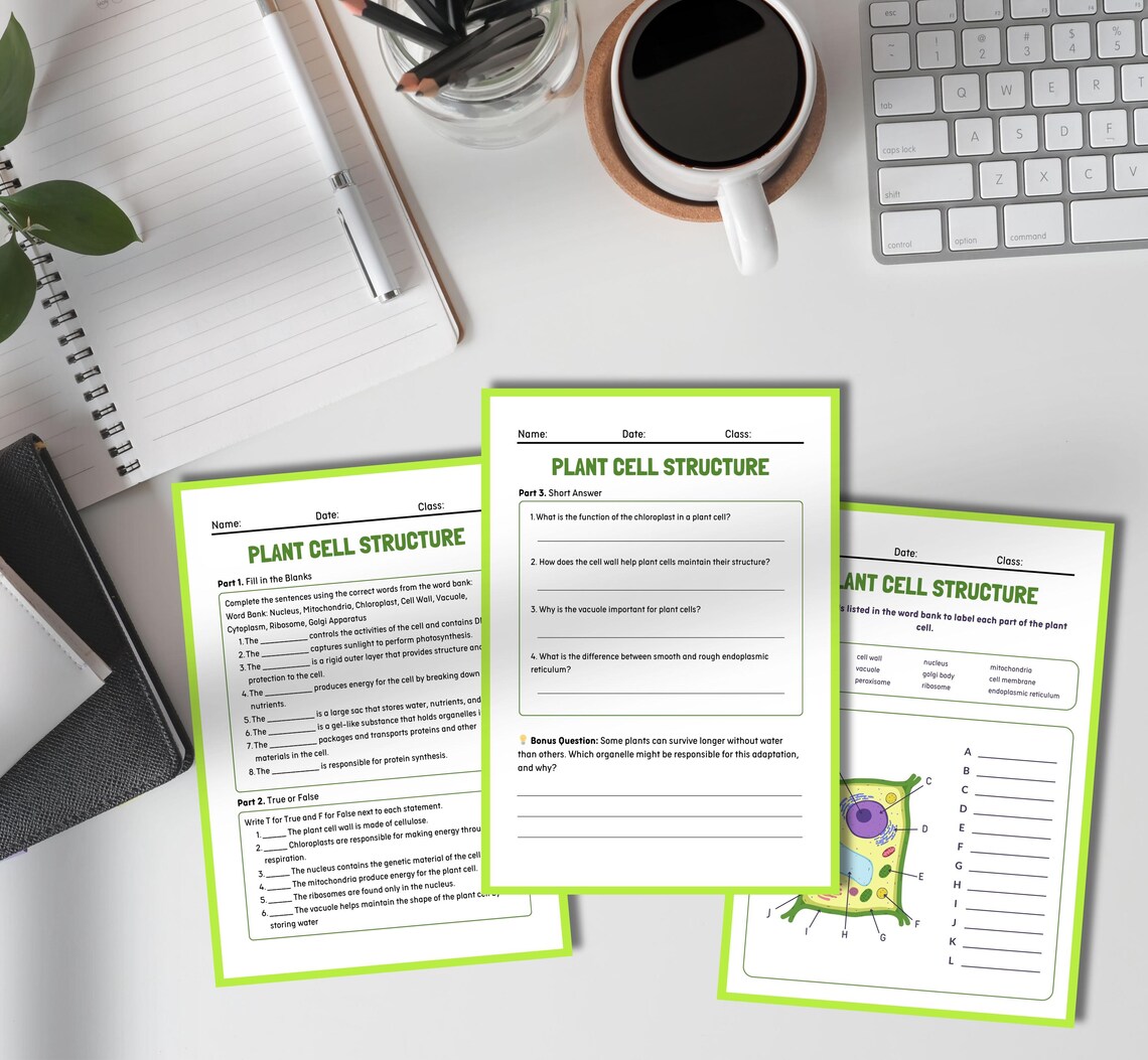 Plant Cell Structure Poster - Biology Educational Print - Science ...