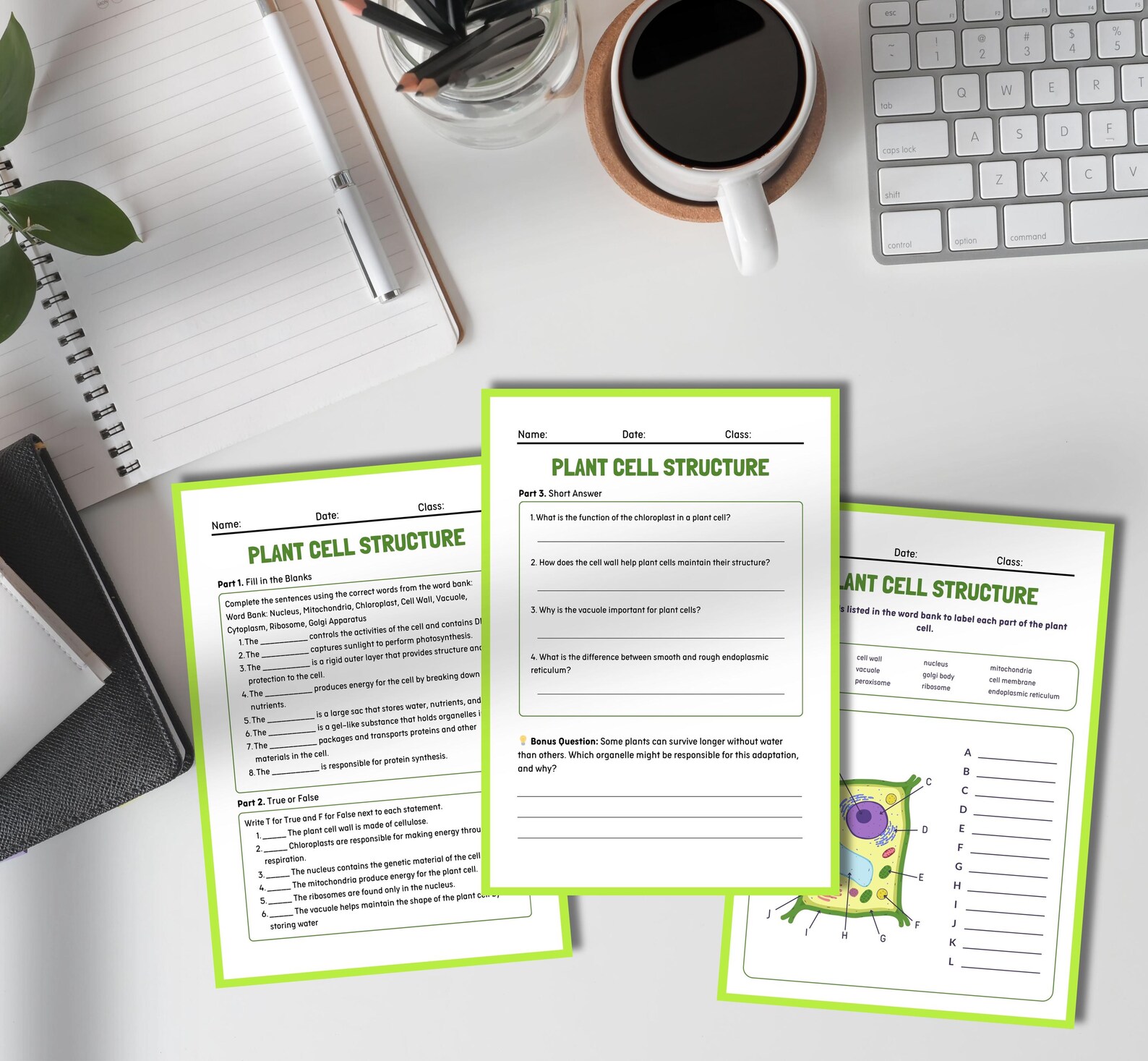 Plant Cell Structure Poster: Biology Classroom Art (digital Download ...