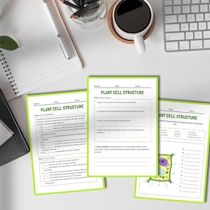 Plant Cell Structure Poster: Biology Classroom Art (digital Download ...