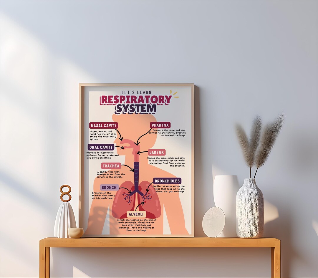 Respiratory System Print - Human Body System Poster - Anatomy Wall Art ...