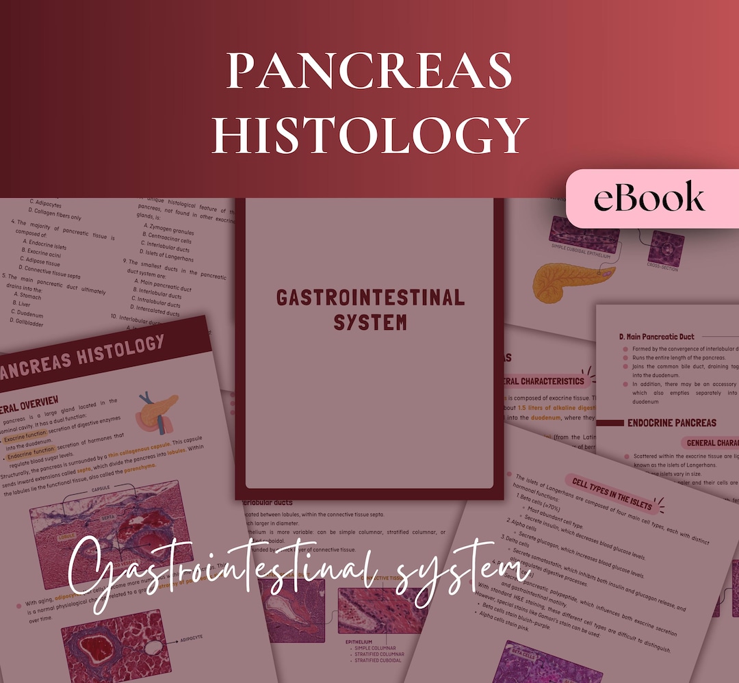 Pancreas Histology Ebook: Medical & Nursing Lecture Notes (PDF Digital ...