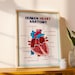 Heart Anatomy Print: Human Body Poster, Classroom Wall Art (digital ...